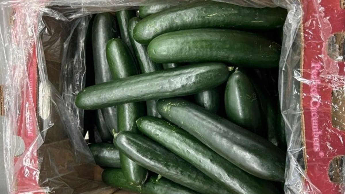 SunFed recalls cucumbers in US and Canada – NBC 5 Dallas-Fort Worth