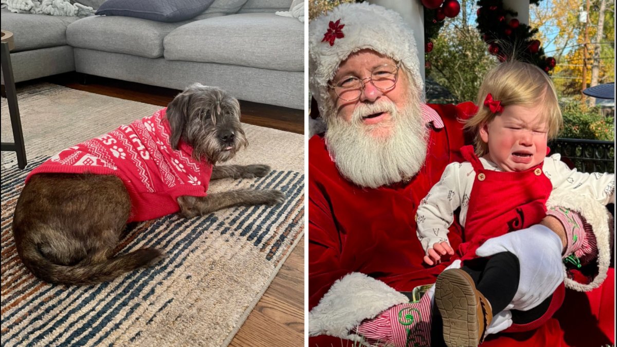 Holiday Photos: Maluca and Isla – NBC 5 Dallas-Fort Worth
