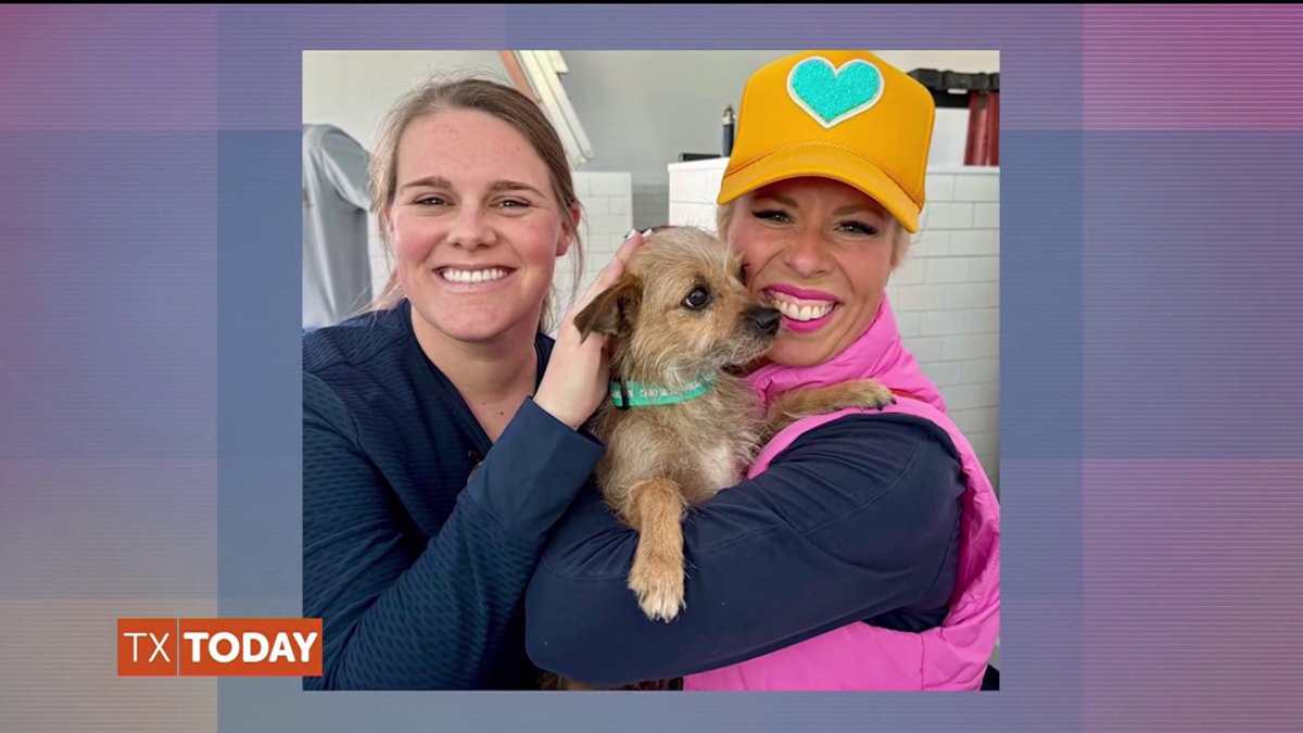 Celebrating local animal heroes: Saving Hope Animal Rescue – NBC 5 ...