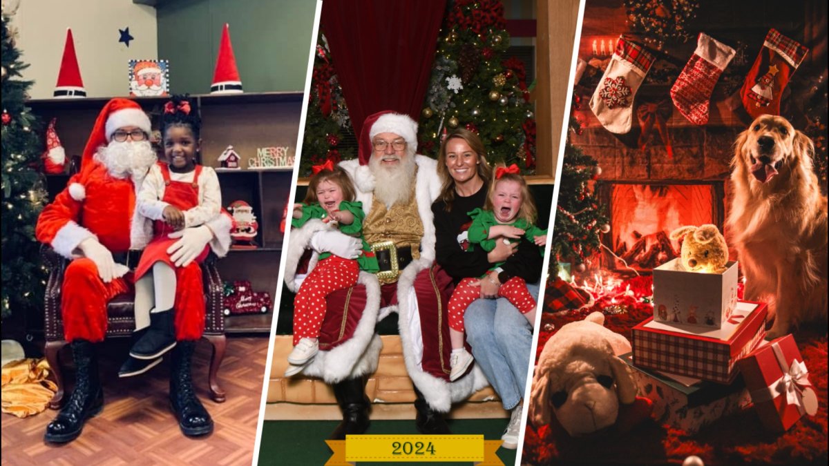 Holiday Photos: Nova Lee, Marley, Miley and Cooper – NBC 5 Dallas-Fort ...