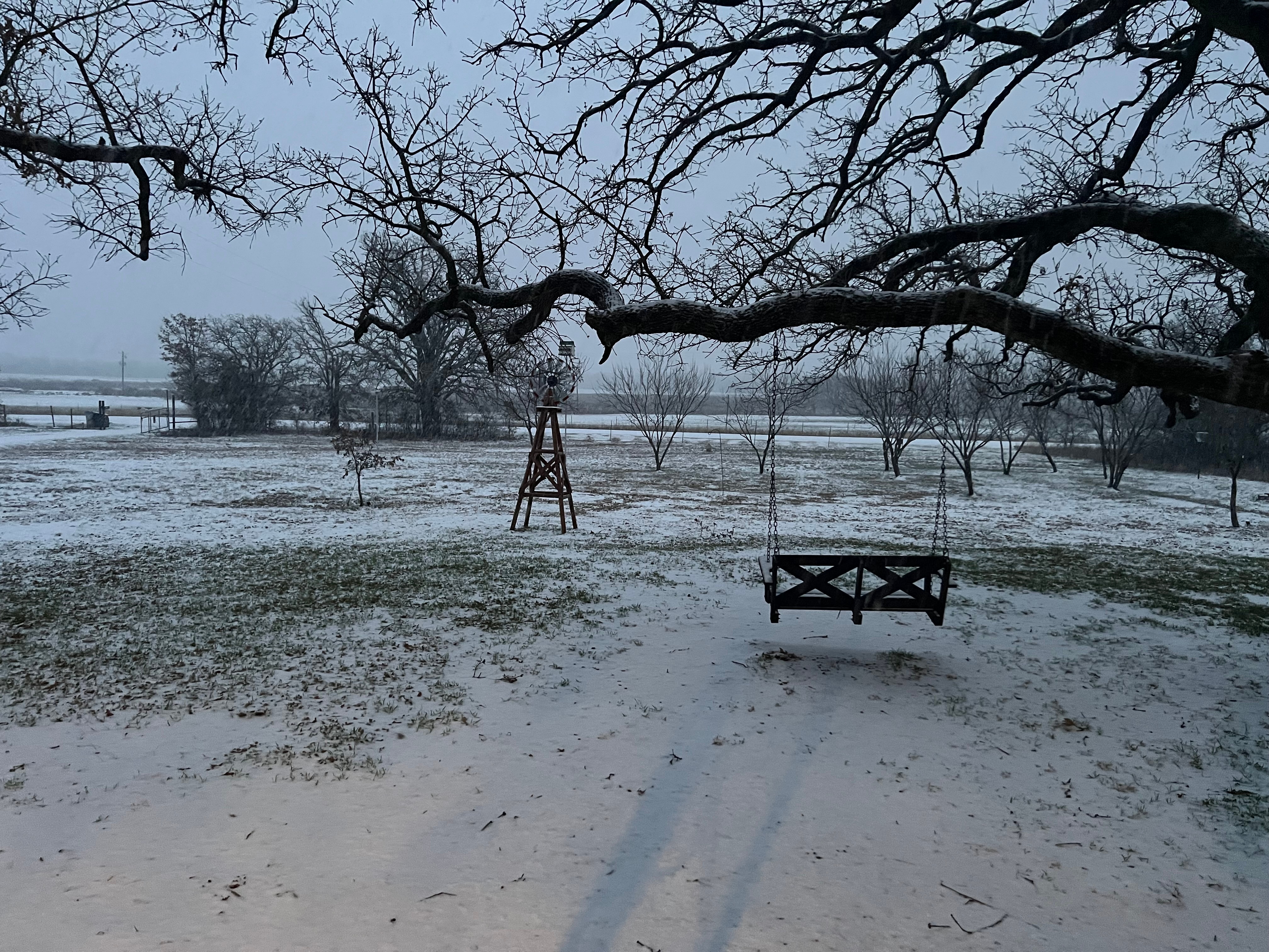 PHOTOS: The first snow of 2025 in North Texas – NBC 5 Dallas-Fort Worth