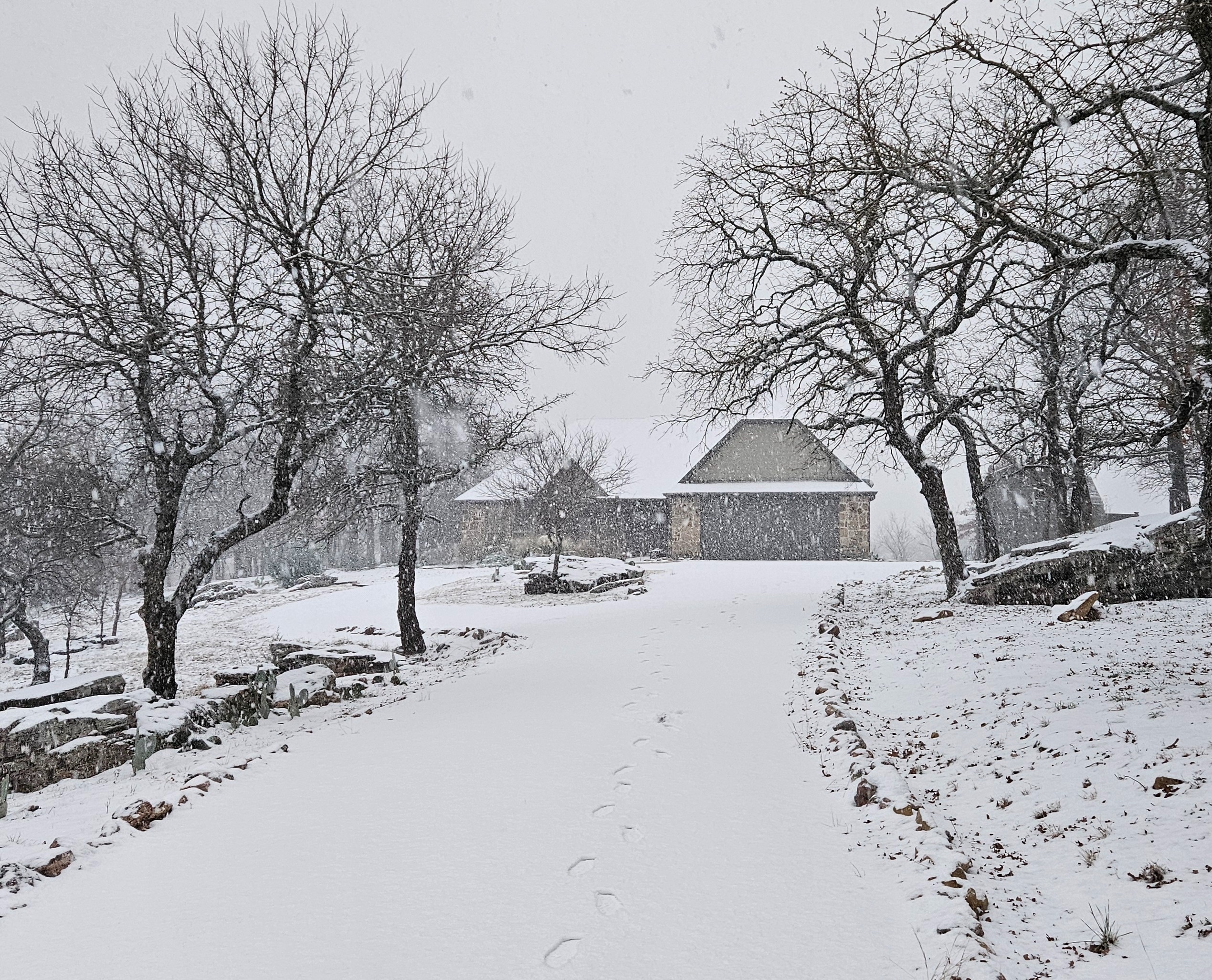 PHOTOS: The first snow of 2025 in North Texas – NBC 5 Dallas-Fort Worth