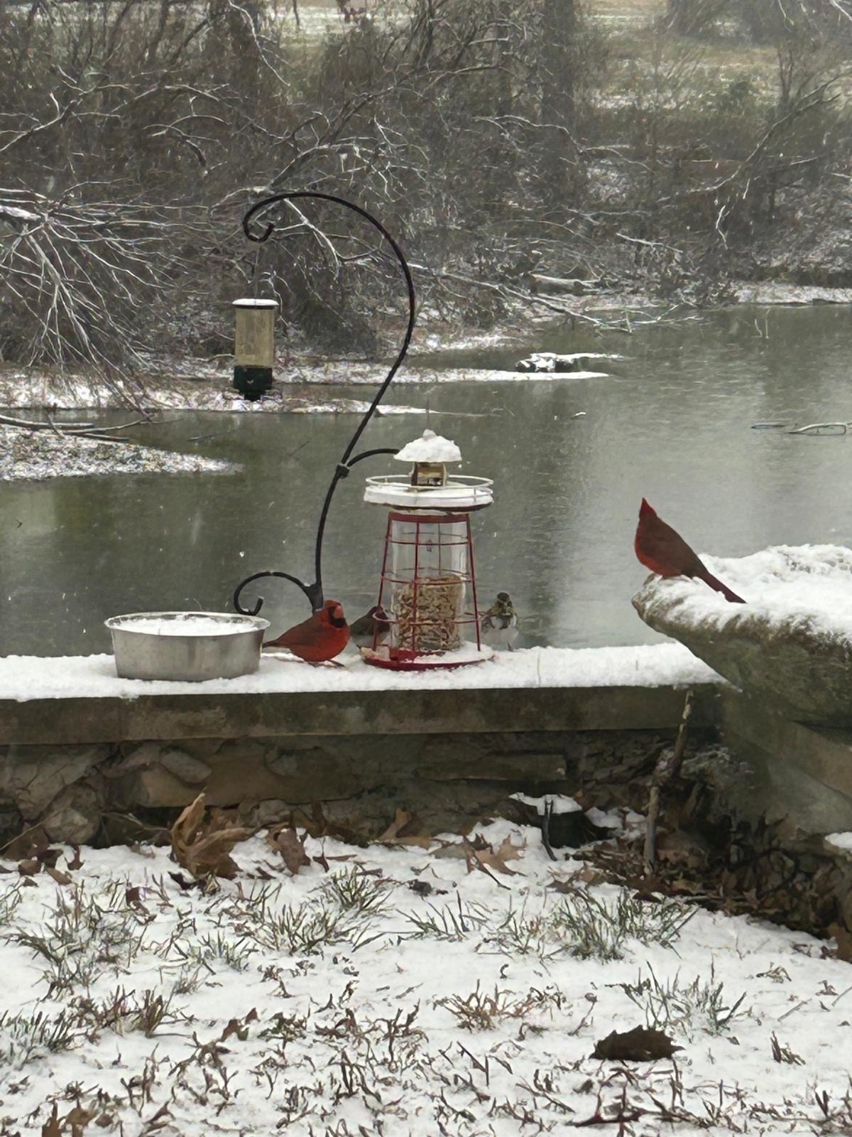 PHOTOS: The first snow of 2025 in North Texas – NBC 5 Dallas-Fort Worth
