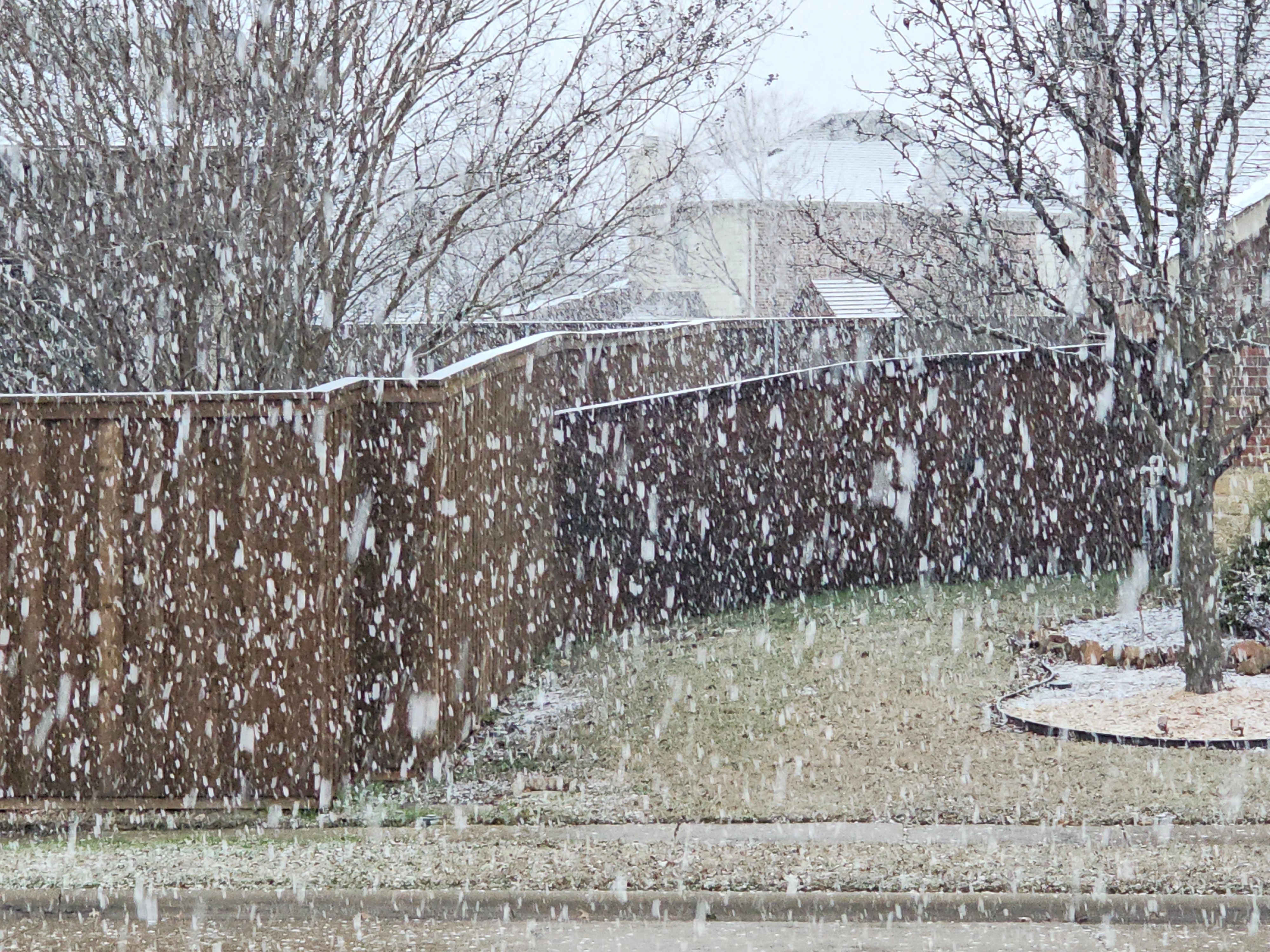 PHOTOS: The first snow of 2025 in North Texas – NBC 5 Dallas-Fort Worth
