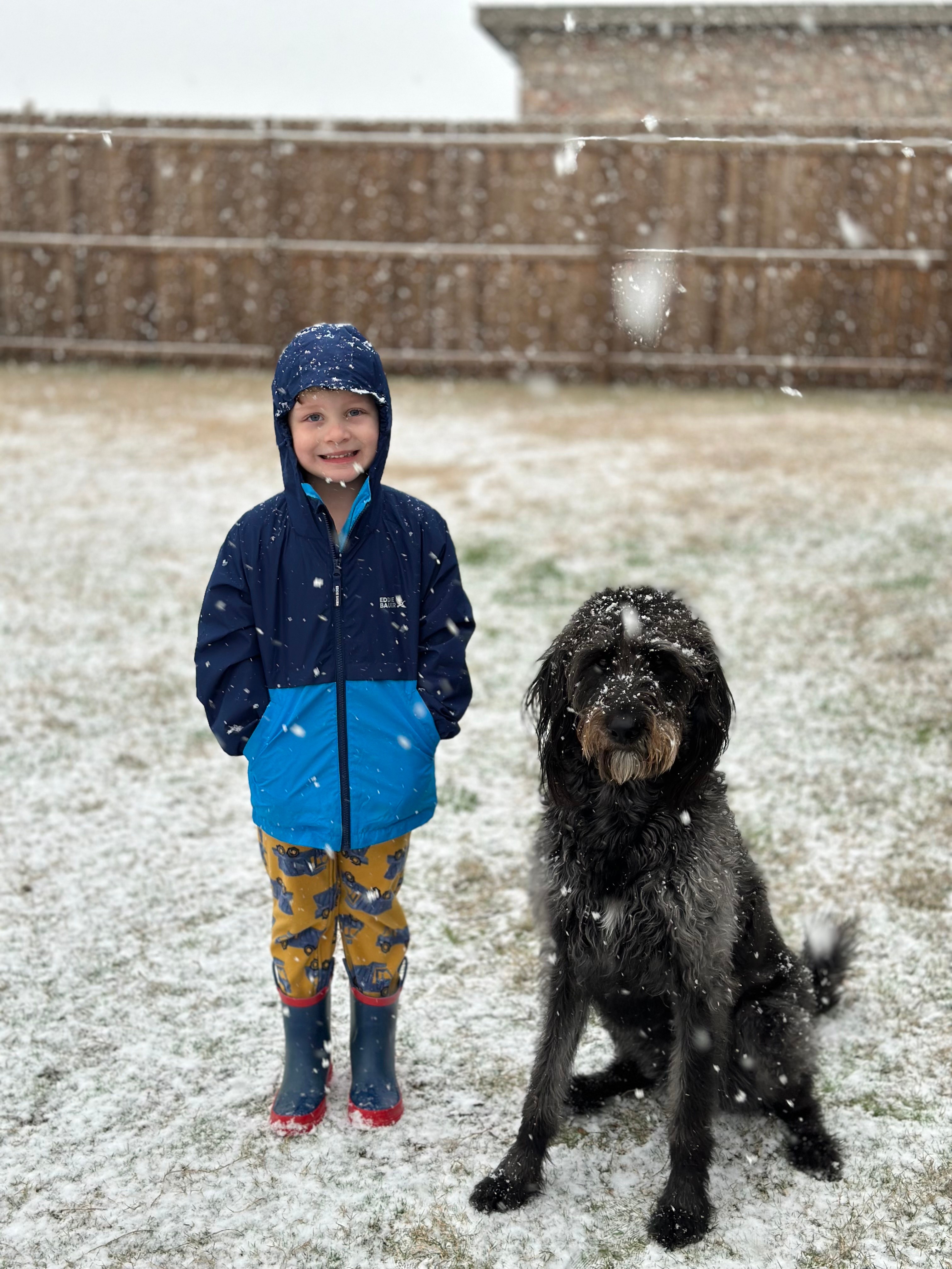PHOTOS: Snow day! Kids and pets enjoy the first snow day of 2025 – NBC ...