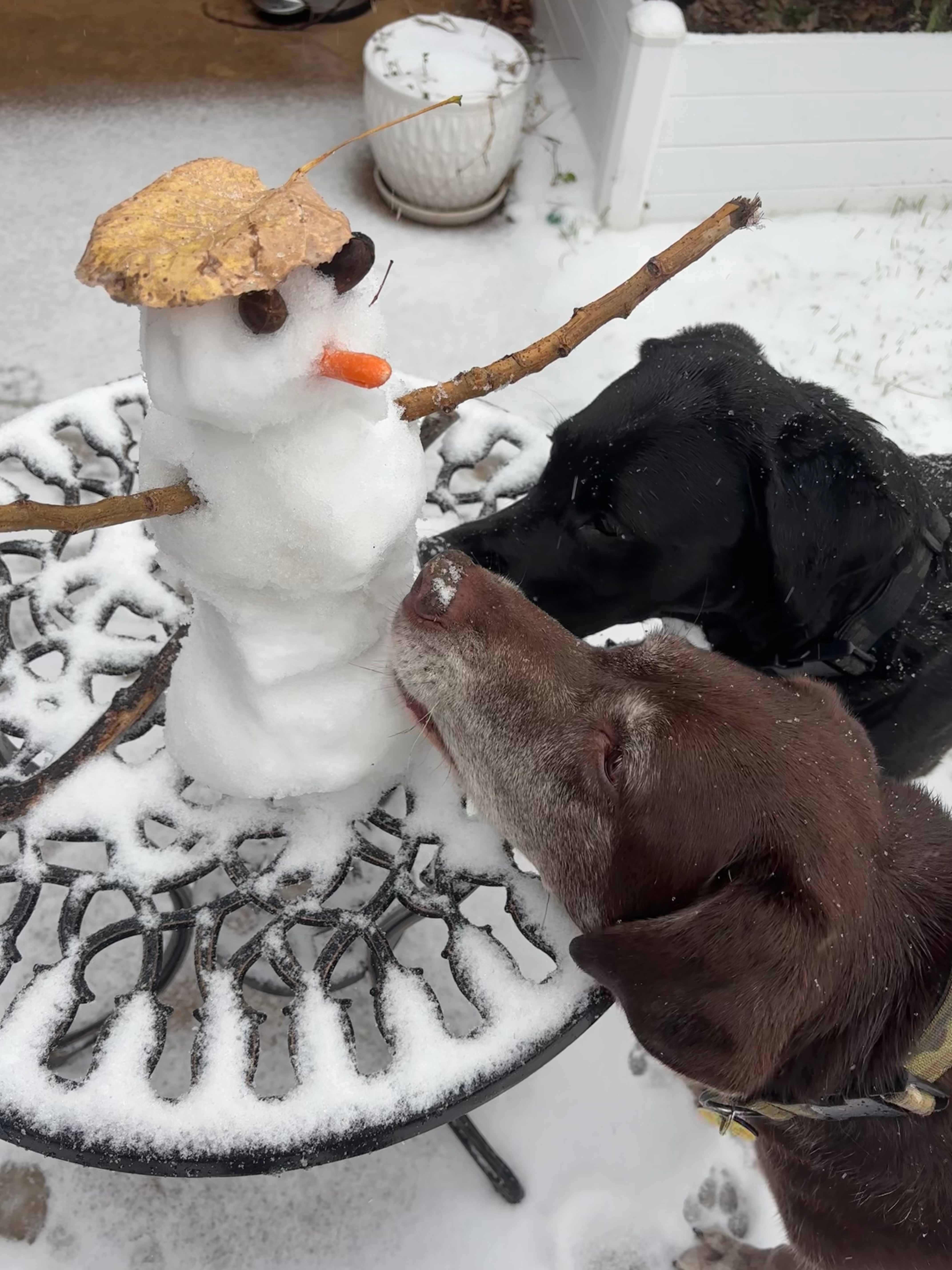 PHOTOS: North Texans ‘want to build a snowman’ and did – NBC 5 Dallas ...