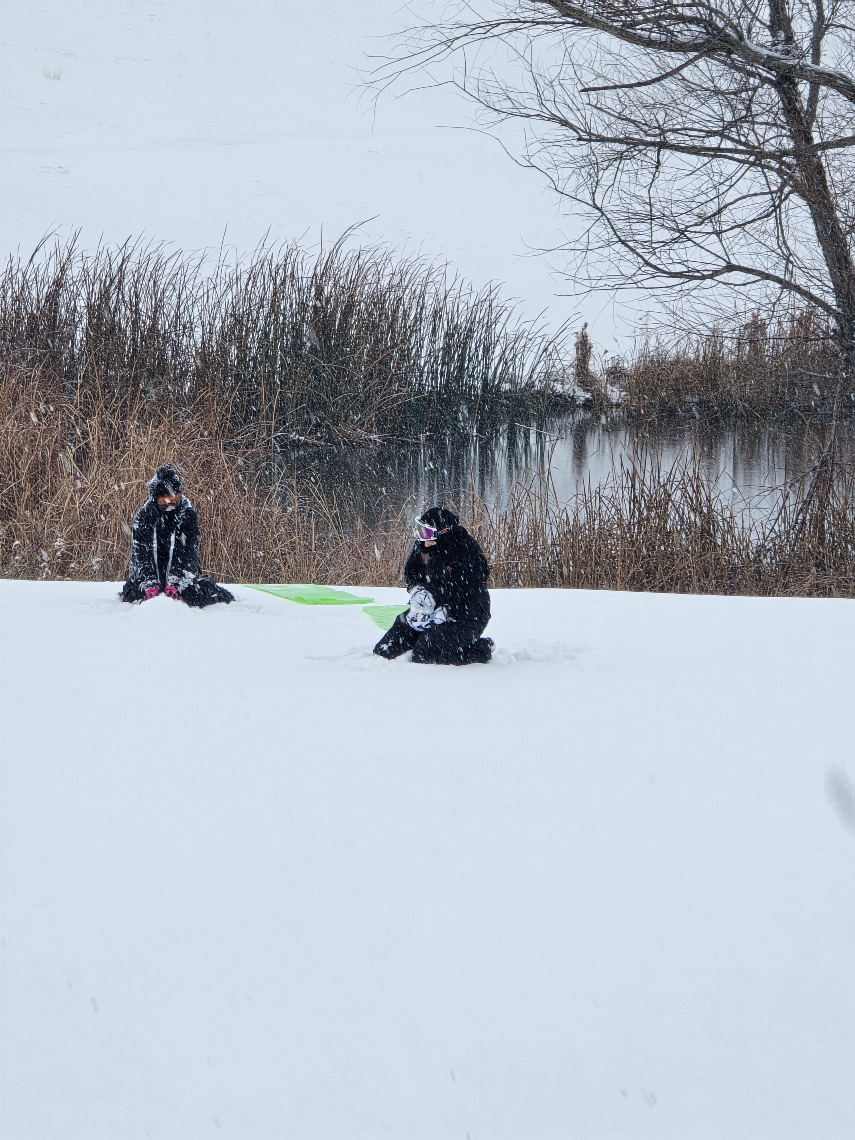 PHOTOS: Snow day! Kids and pets enjoy the first snow day of 2025 – NBC ...