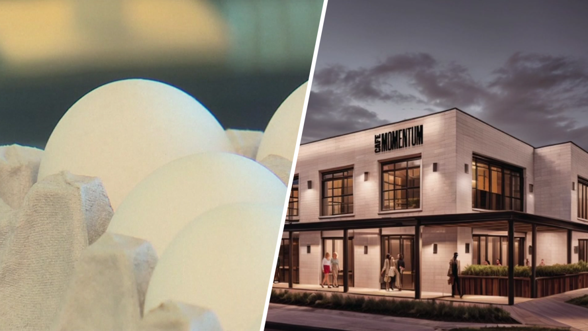 Foodie 411: Egg shortage and Cafe Momentum location – NBC 5 Dallas-Fort ...