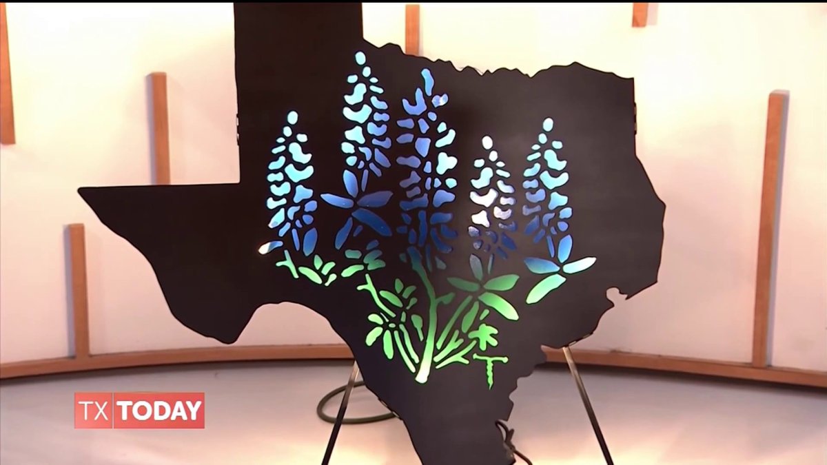 Outdoor art inspired by Texas flora and fauna – NBC 5 Dallas-Fort Worth
