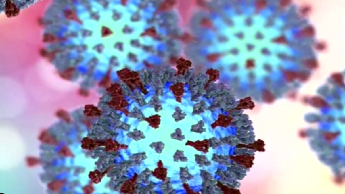 Tarrant County Public Health officials give update on measles – NBC 5 ...