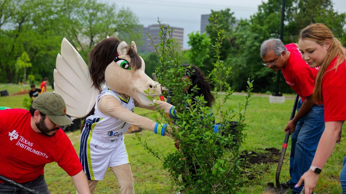 United Way hosts tree-planting event in historic Hamilton Park – NBC 5 ...