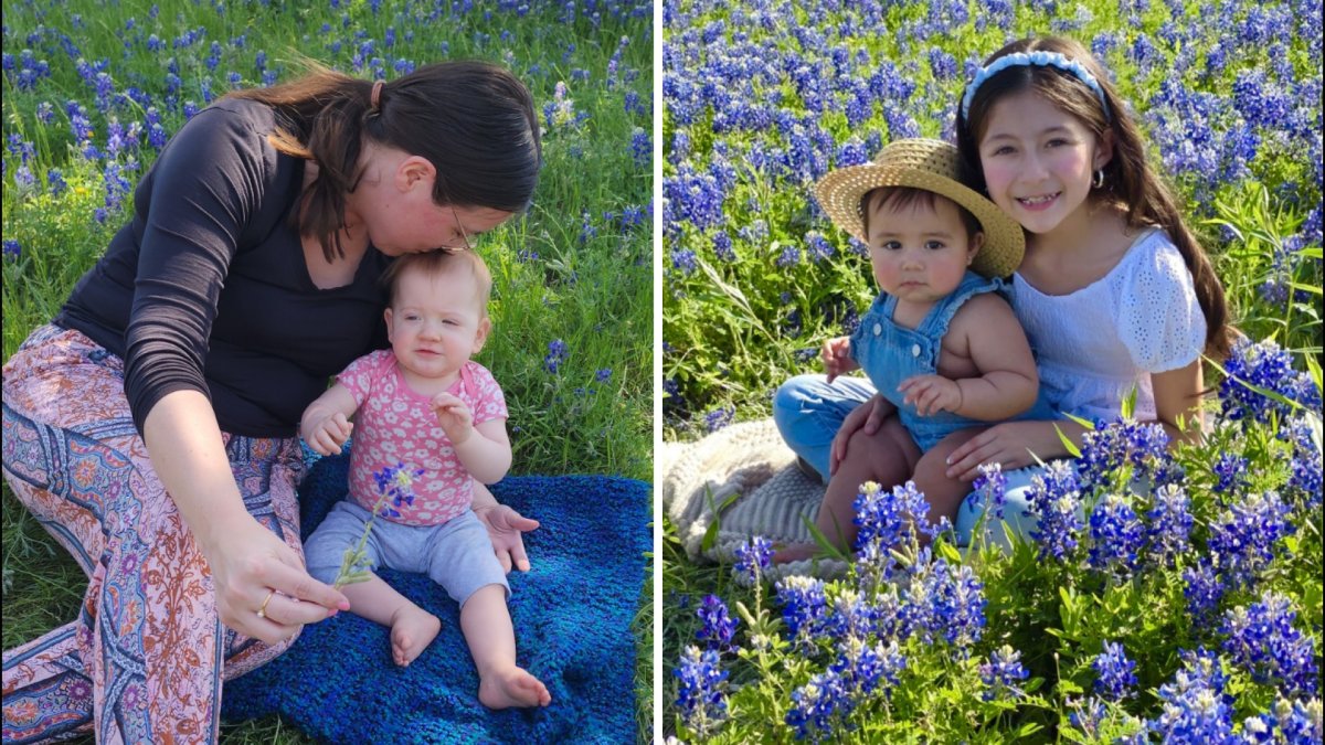 Bluebonnets in boom: Summer Ann, Aria and Celena – NBC 5 Dallas-Fort Worth