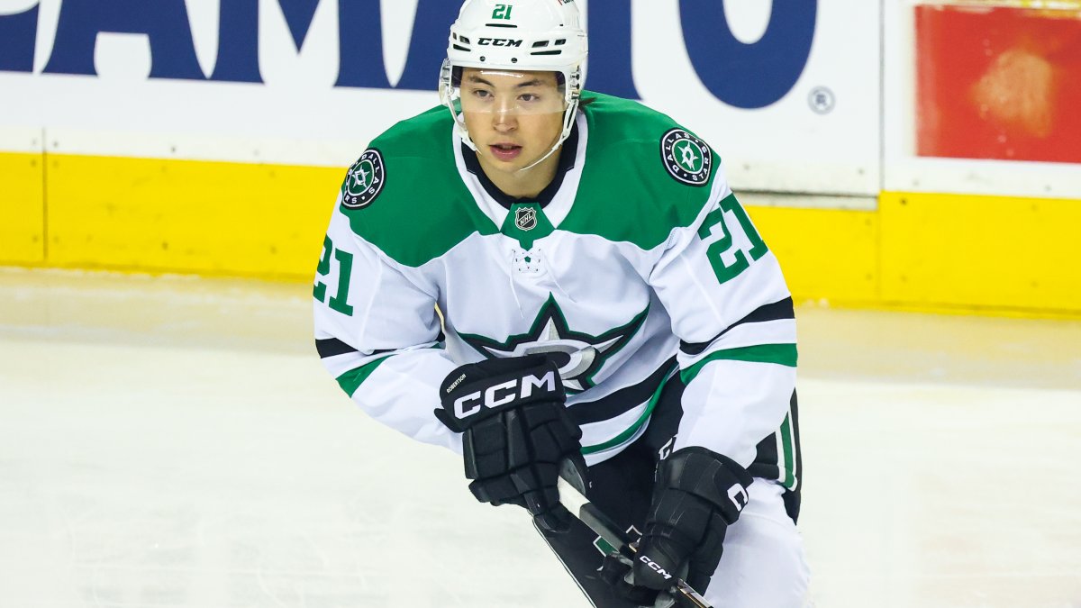 Dallas Stars start playoffs without top scorer Jason Robertson – NBC 5 ...