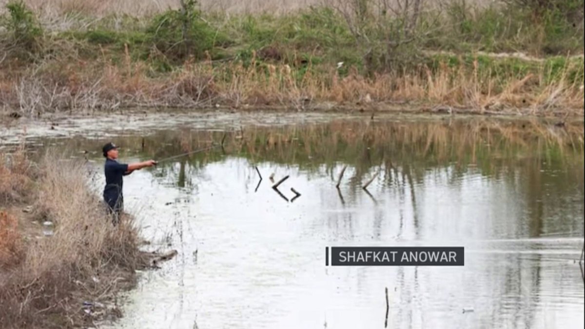 Kleberg-Rylie community fights for attention from City of Dallas amid ...