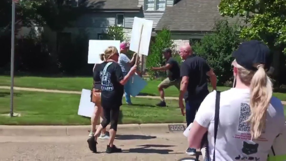 Dallas police investigating case of assault on cat advocate – NBC 5 ...