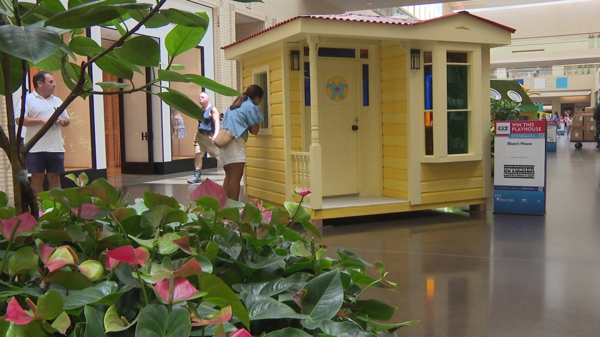 Dallas CASA ‘Parade of Playhouses’ raises awareness for volunteers ...