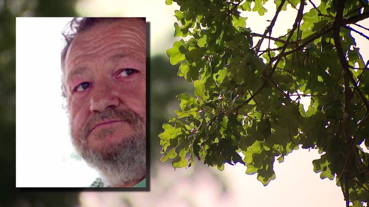 Dallas woman seeks justice for brother after hit and run crash – NBC 5 ...