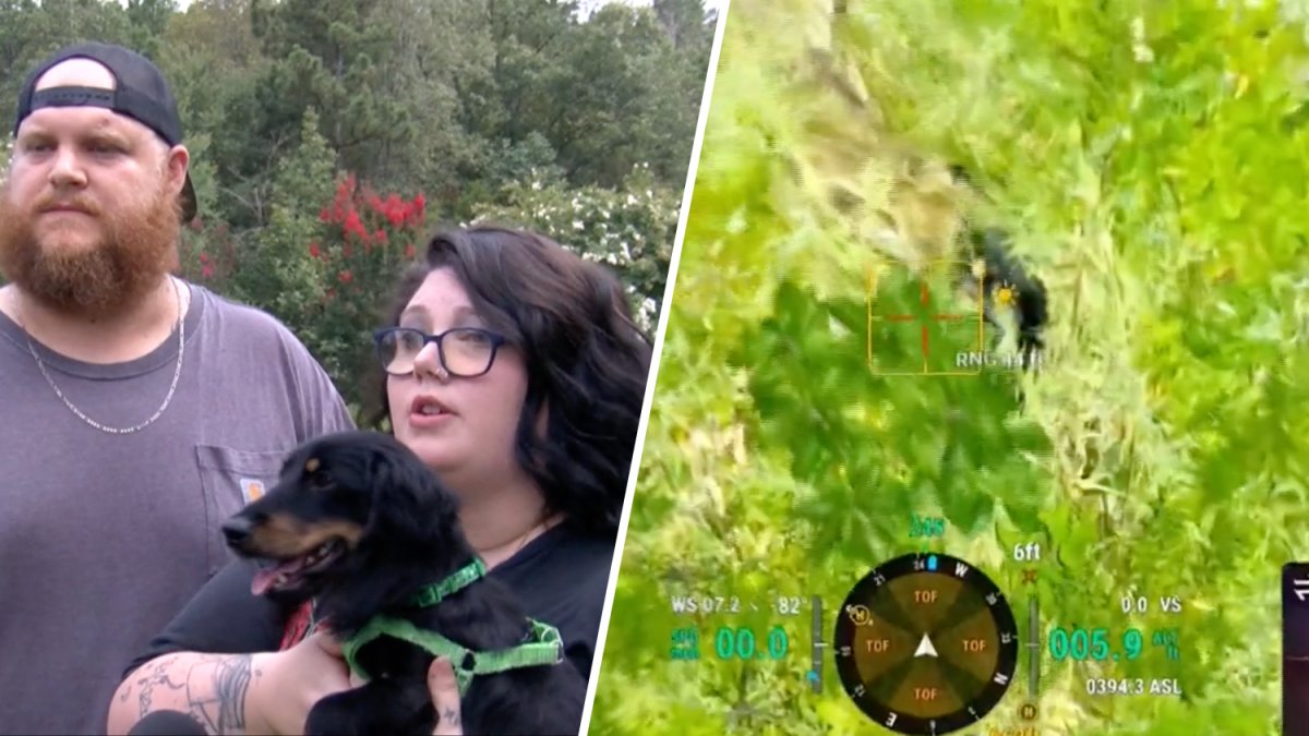 Drone pilot rescues lost dog from coyote attack in Arkansas – NBC 5 ...