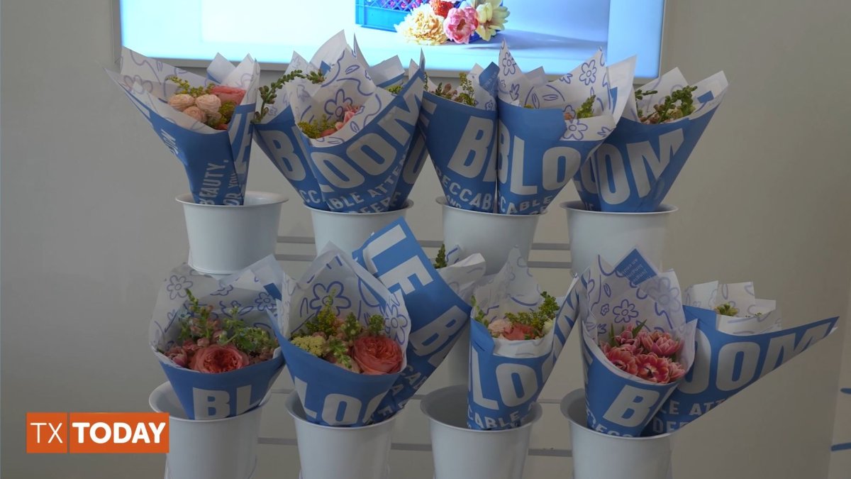 Step into Le Bloom Dallas – NBC 5 Dallas-Fort Worth