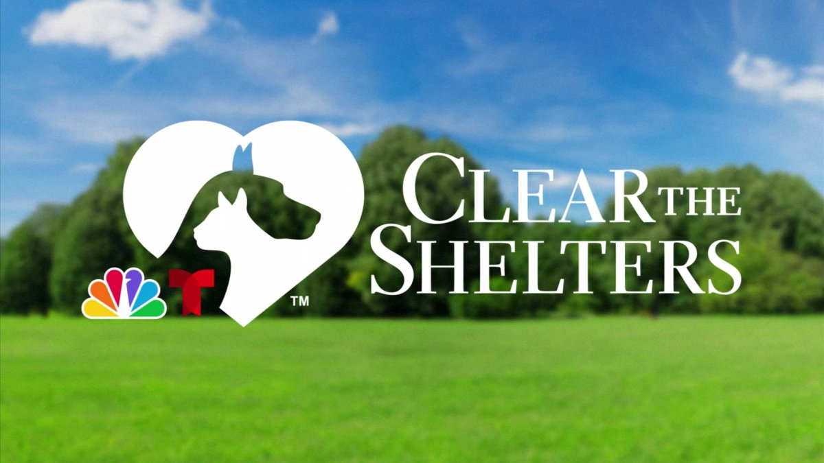 How to watch NBC 5’s ‘Clear The Shelters’ special – NBC 5 Dallas-Fort Worth