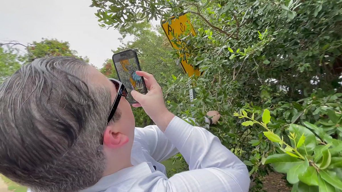 Dallas 311 app power user files more than 500 tickets – NBC 5 Dallas ...