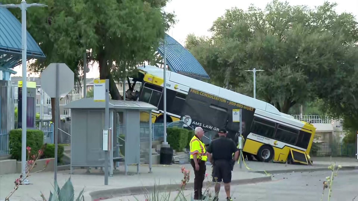 Five taken to hospital after DART bus hits tree in Dallas – NBC 5 ...