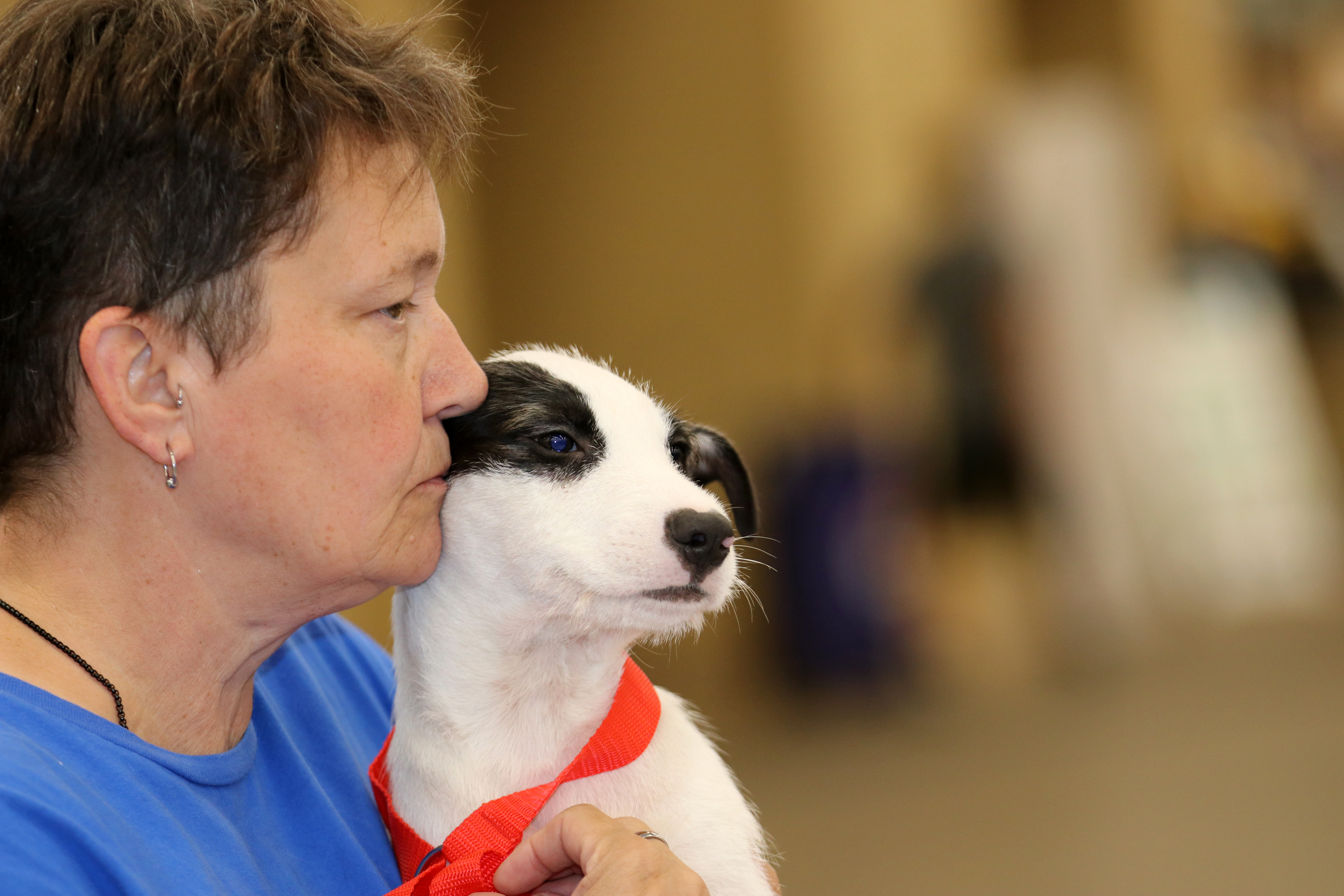 Images from the Humane Society of North Texas Mega Adoption Event – NBC ...