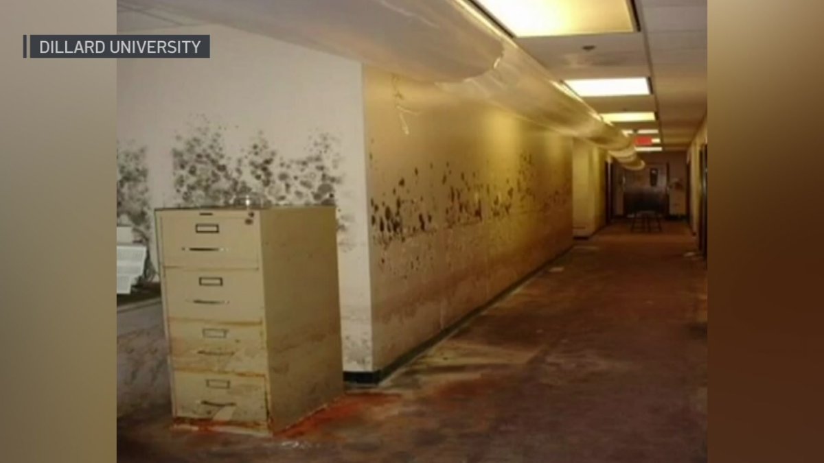 Evan Anderson reflects on Hurricane Katrina, 20 years later – NBC 5 ...