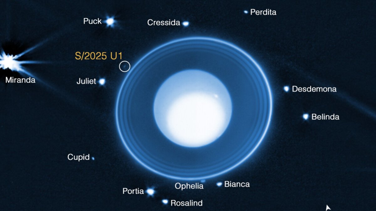 New moon discovered orbiting Uranus is so small, you could walk it in ...