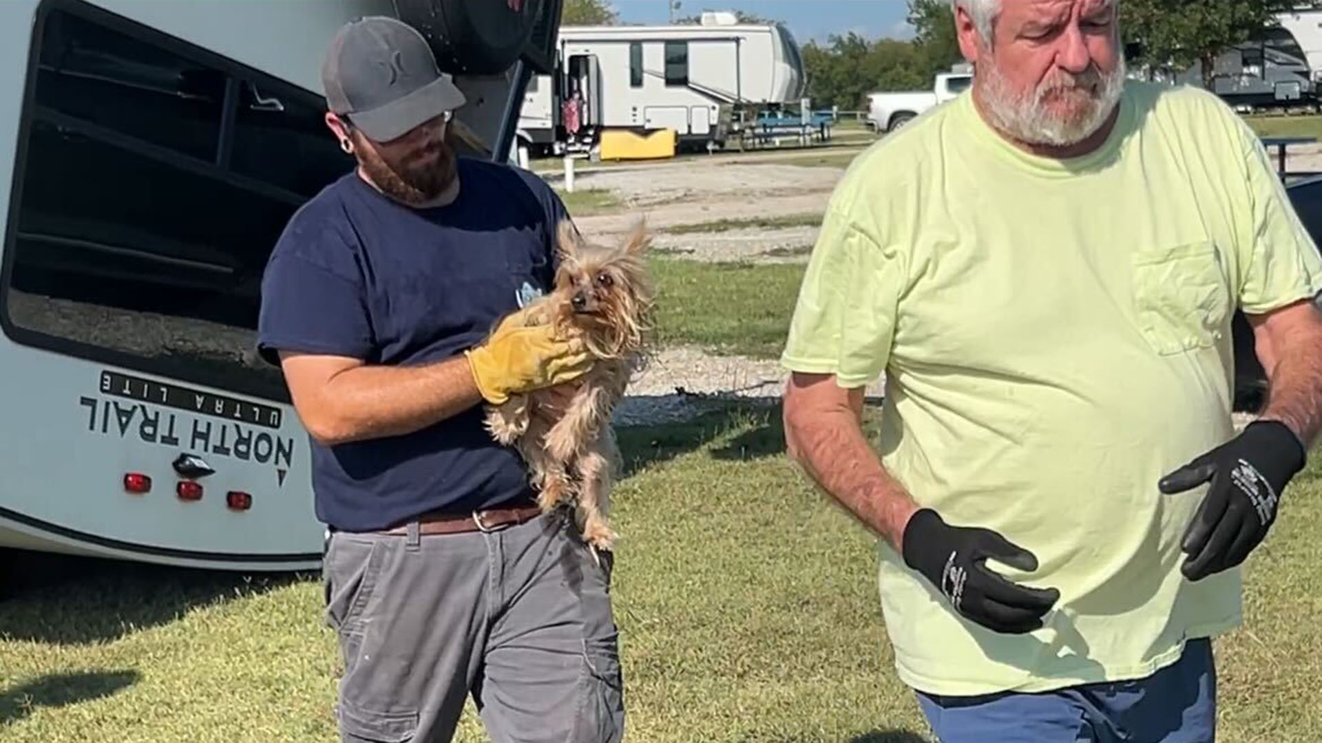Dog saved after owner’s tragic death in severe storm in Sanger – NBC 5 ...