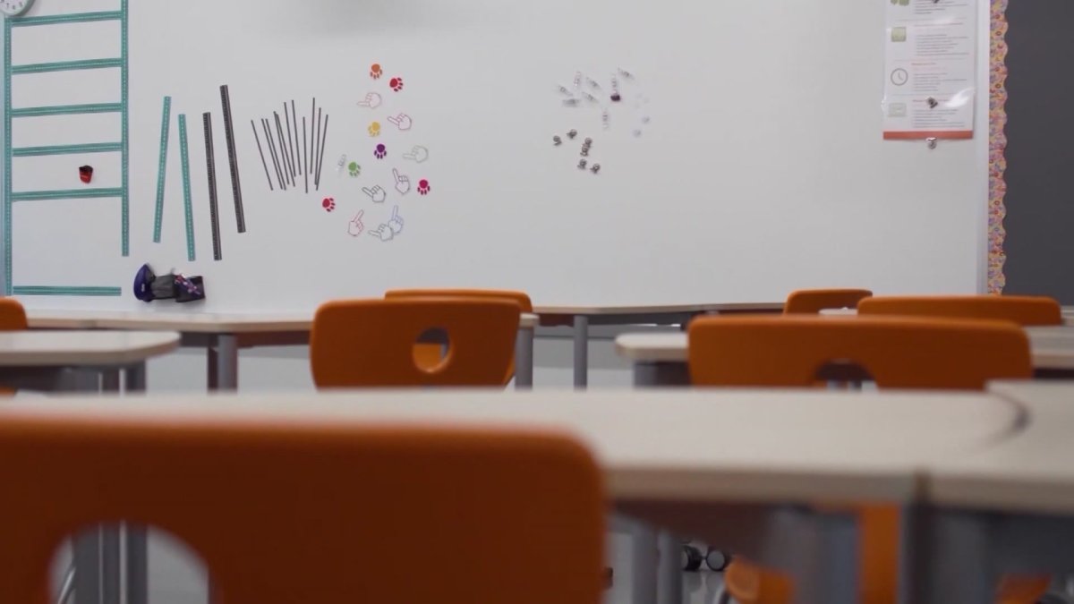 Texas law bans DEI in public schools, faces court challenge – NBC 5 ...