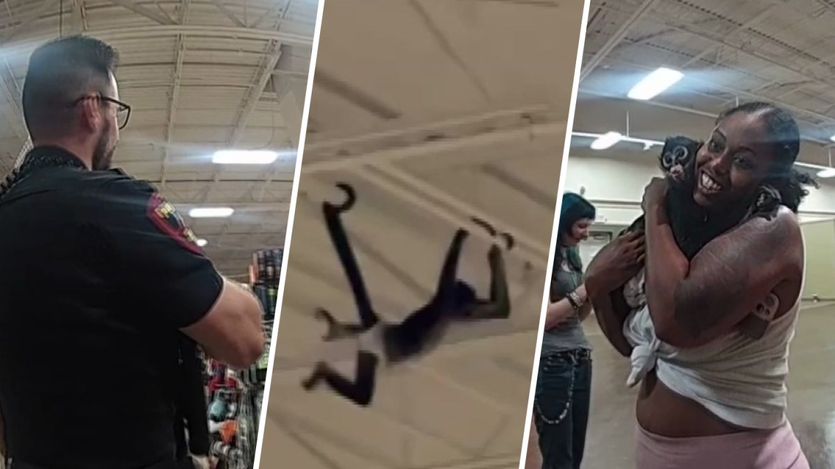 Monkey on the loose at Plano Spirit Halloween store – NBC 5 Dallas-Fort Worth