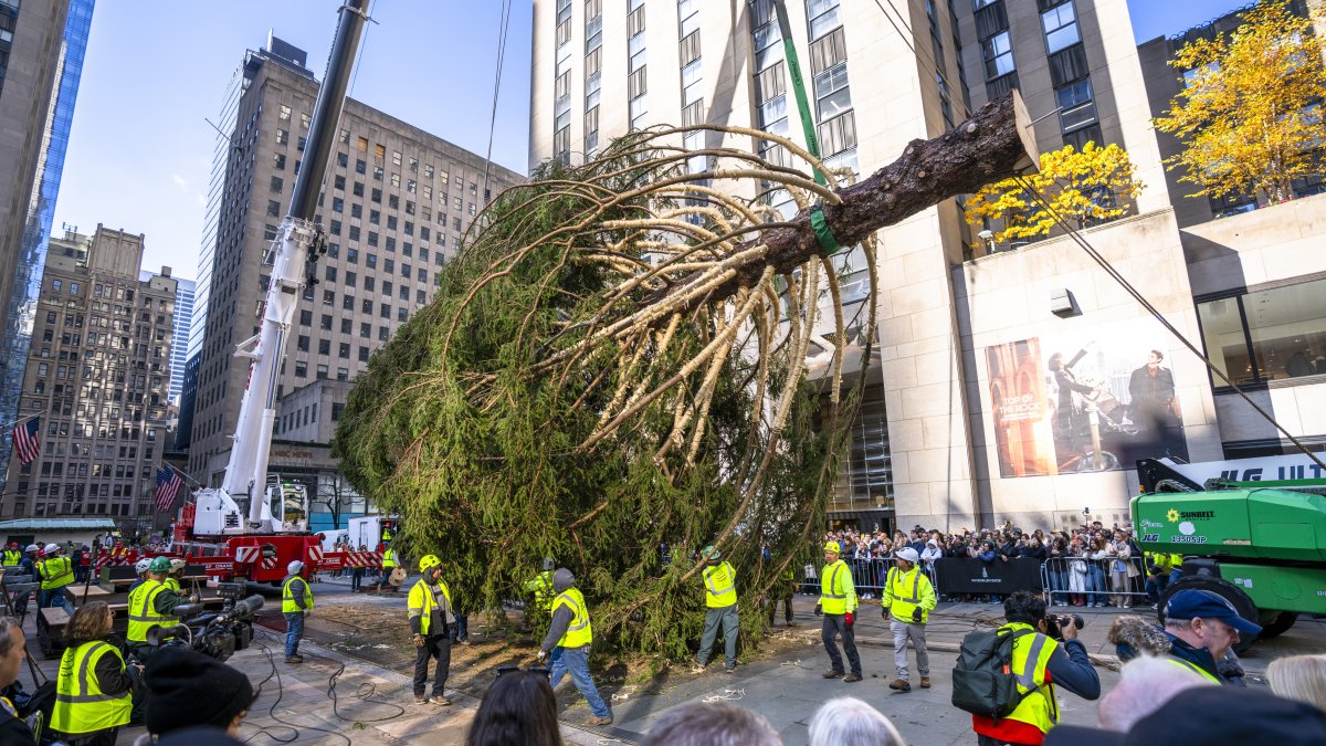 Rockefeller Center Christmas tree arrives in New York City – NBC 5 ...