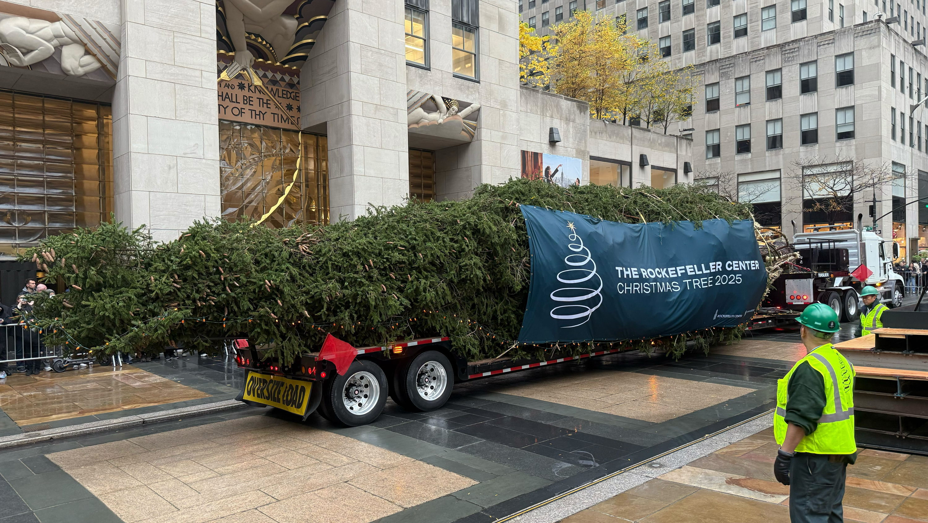 Rockefeller Center Christmas tree arrives in New York City – NBC 5 ...