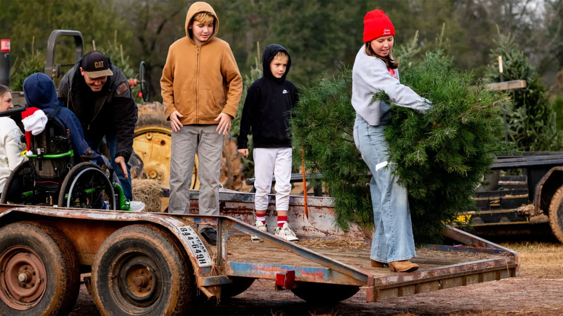 East Texas Christmas tree farm closes after 40 years – NBC 5 Dallas ...
