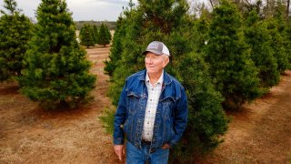 East Texas Christmas tree farm closes after 40 years – NBC 5 Dallas ...