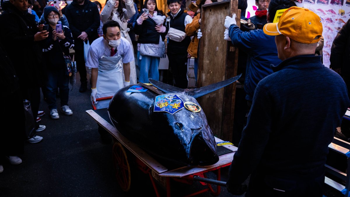 Bluefin tuna sells for record $3.2M at auction at Tokyo market – NBC 5 ...