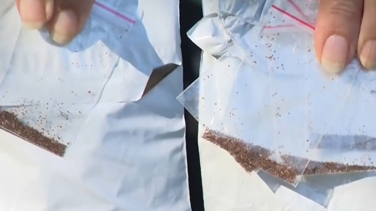 Officials warn after more than 1,100 mystery seed packages arrive from ...