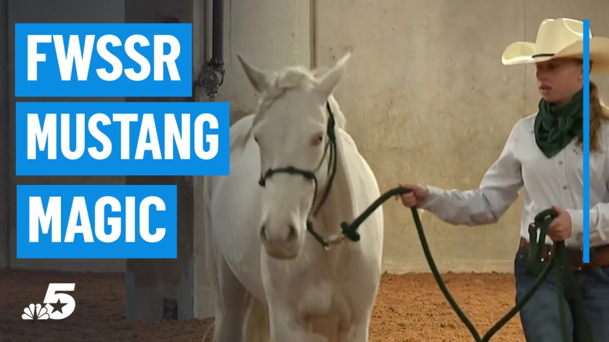 Mustang Magic spreads awareness for horse breed – NBC 5 Dallas-Fort Worth