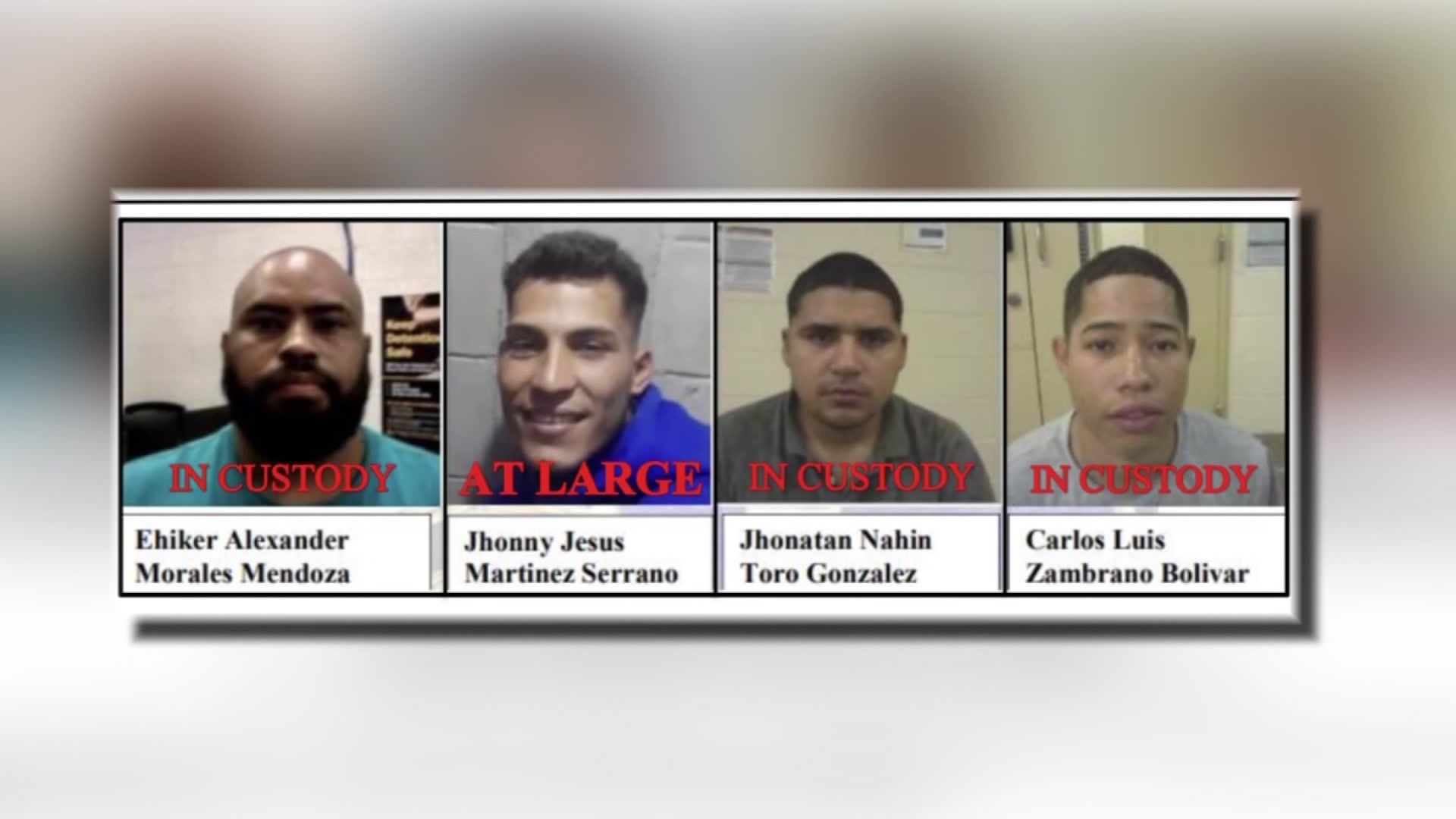 Defendant testifies in Tren de Aragua murder trial – NBC 5 Dallas-Fort ...