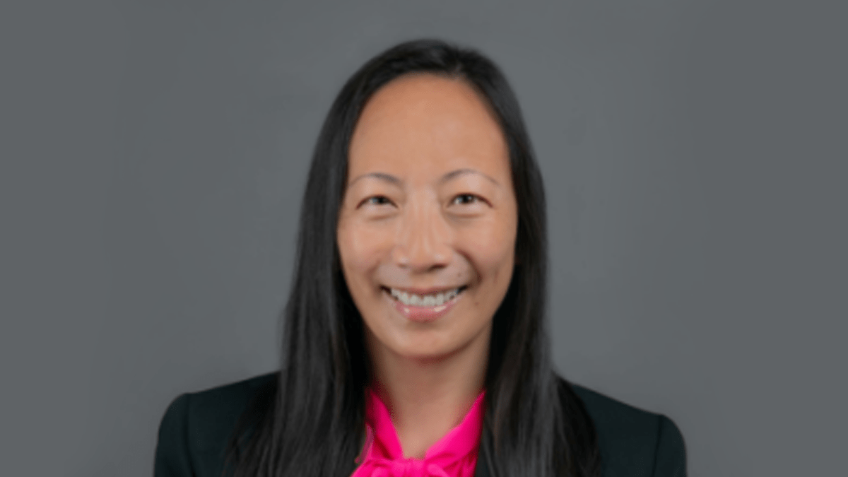 DART CEO Nadine Lee to step down amid agency uncertainty – NBC 5 Dallas ...