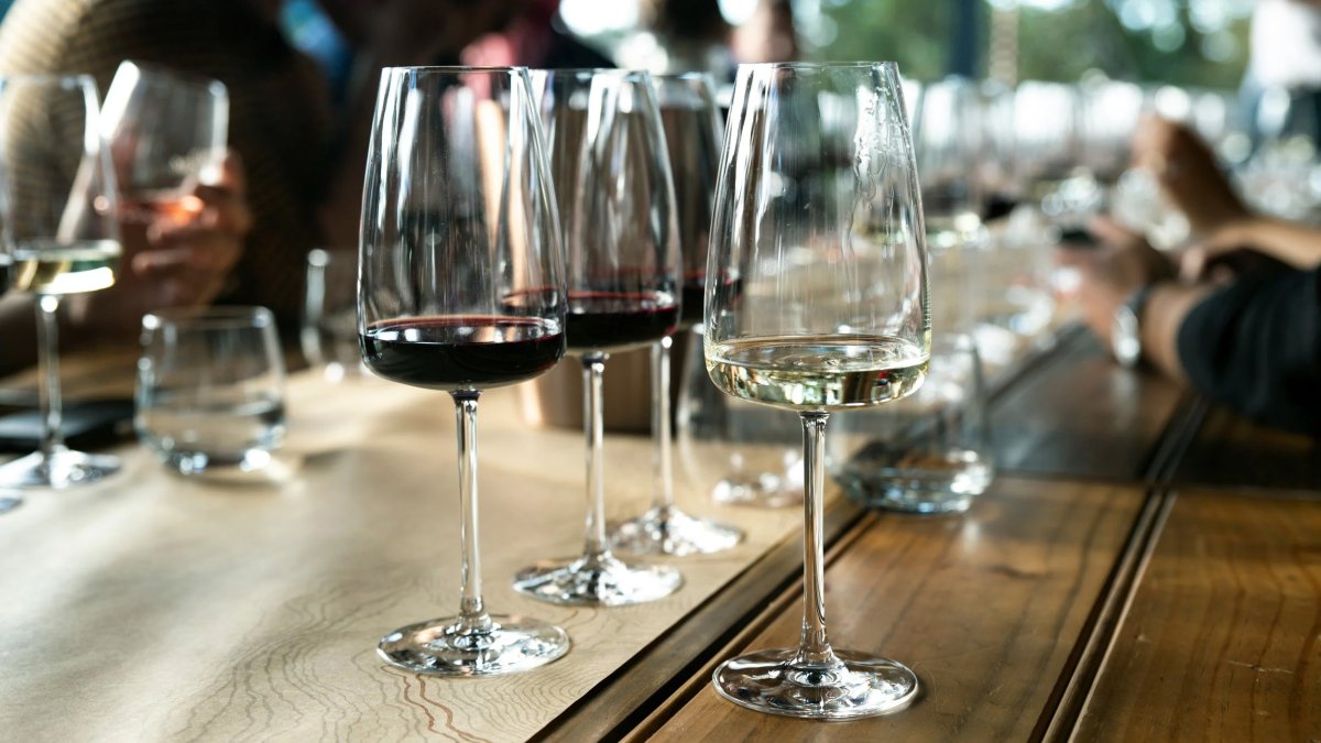 Sip, savor, and learn: wine tasting with Stage West – NBC 5 Dallas-Fort ...