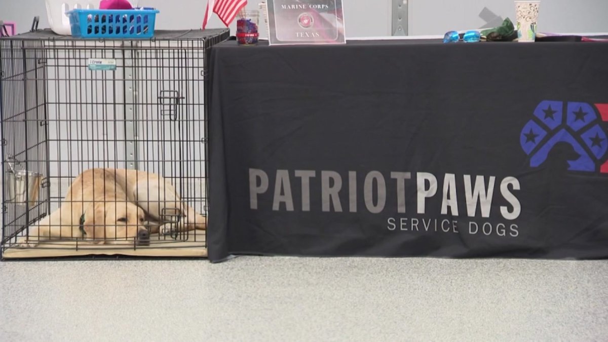 Patriot Paws celebrates 20 years helping veterans with service dogs ...