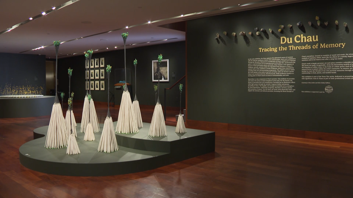 Dallas artist explores memory, hardship in a Crow Museum exhibit – NBC ...