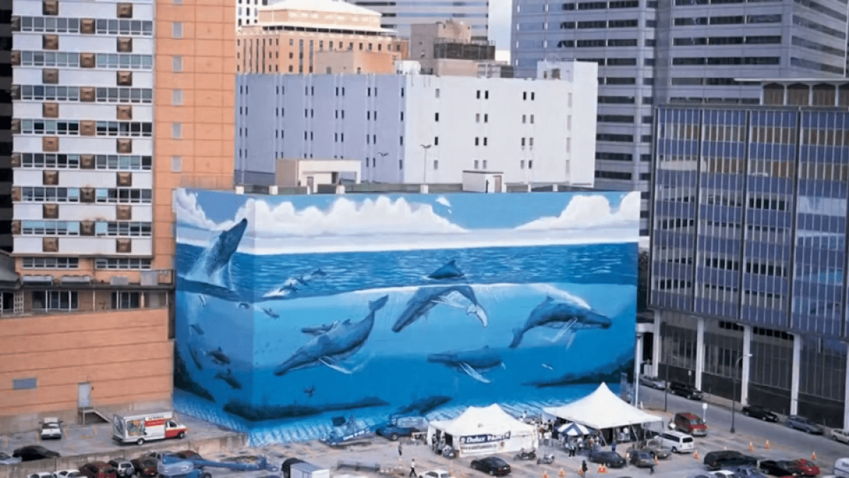 Wyland Sends Cease And Desist Over Dallas Whale Mural Nbc 5 Dallas